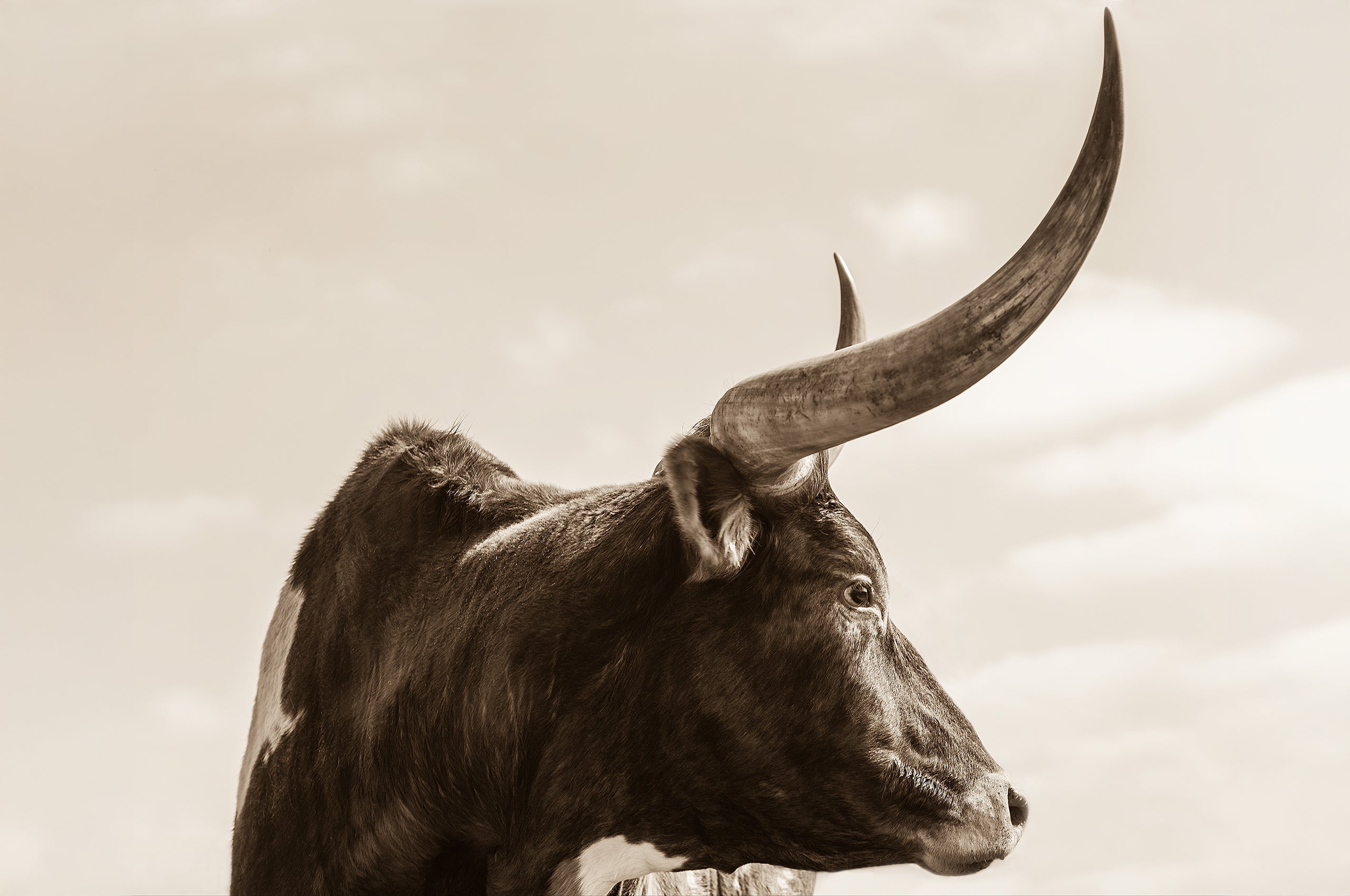 Life on the Ranch – My Store